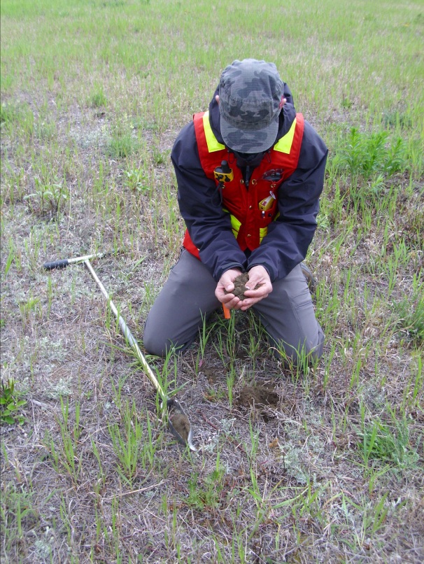 OUR SERVICES | Archer Cathro